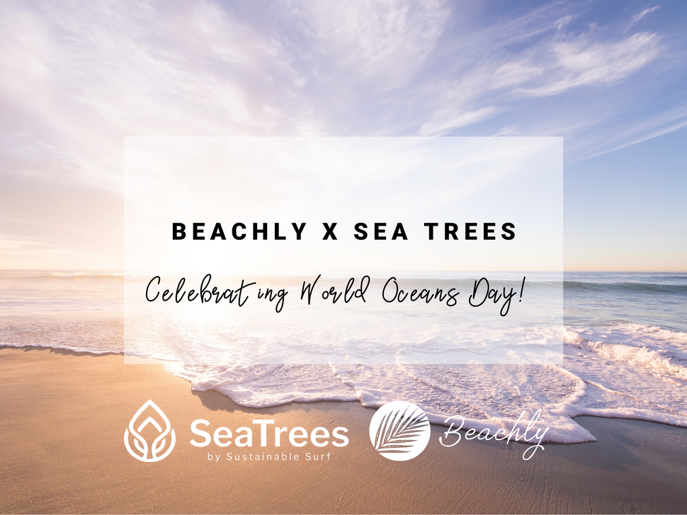 Let's Celebrate World Oceans Day with SeaTrees! - Beachly